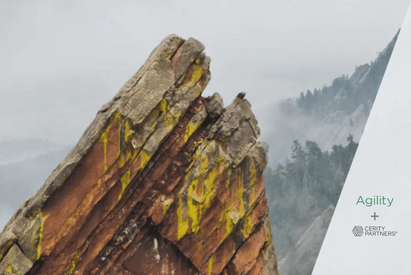 Cerity Partners Welcomes Denver-based Agility | Cerity Partners